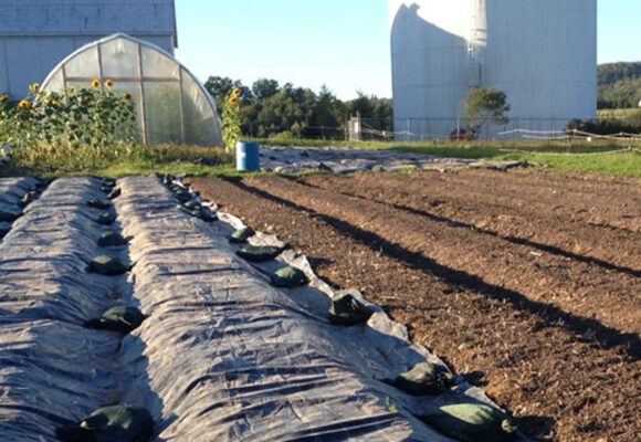 How to Tarp a Roof - ARK Tarps